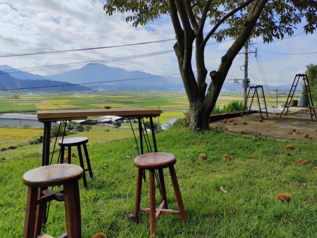 阿蘇の穴場的なカフェ！！陶芸とカフェ【サンノポタリー】 | 32調